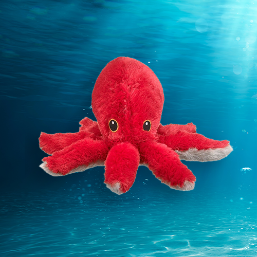 The Octopus Collection – Oceana Marine Wildlife Adoption and Gift Center