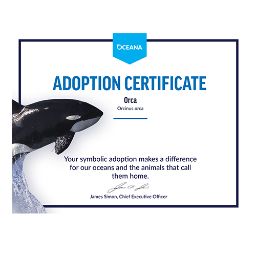 Orca Certificate Adoption – Oceana Marine Wildlife Adoption and Gift Center
