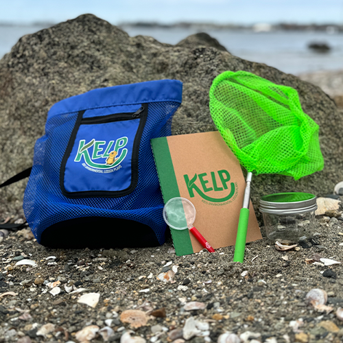 KELP Ocean Explorer Kits – Oceana Marine Wildlife Adoption and Gift Center